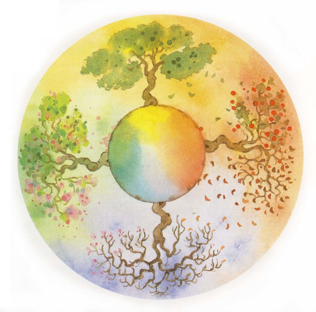 Notre pratique de Yoga au fil des saisons avec Terre Sage